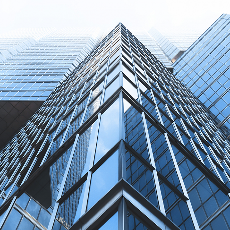 Privacy Window Film Solutions For Your Business & Home